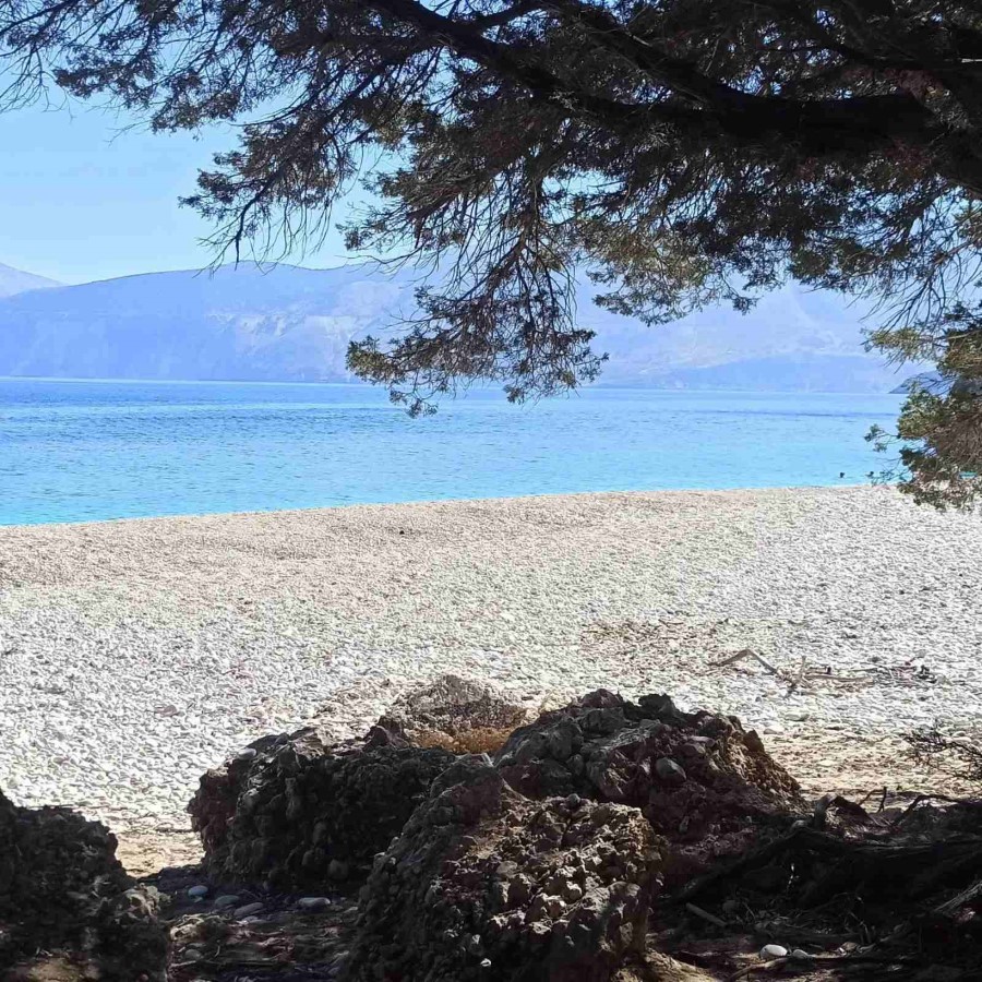 Ορειβατική Λέσχη: Εικόνες από την διαδρομή σε Αθέρα- Αμίδι - InKefalonia