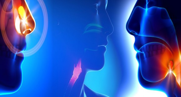 Νέο Ωτορινολαρυγγολογικο Ιατρείο στο Αργοστόλι, από τον Ιατρό κ ...